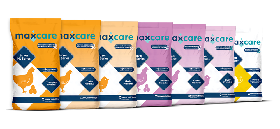 Maxcare yem katkısı ile çiftlik hayvanlarının beslenmesini ...