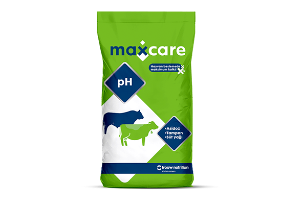 Maxcare yem katkısı ile çiftlik hayvanlarının beslenmesini ...